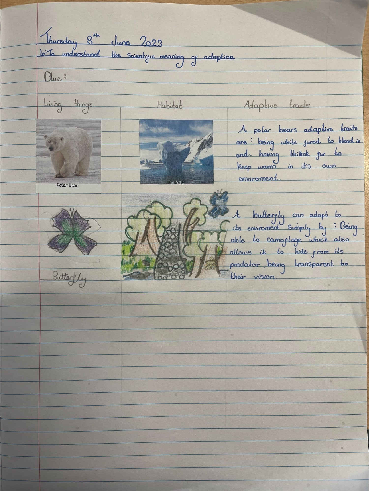 Adaptation in Year 6 - Lord Scudamore Academy