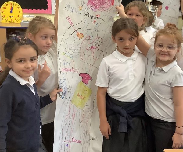 The Human Body in Year 3 – Lord Scudamore Academy