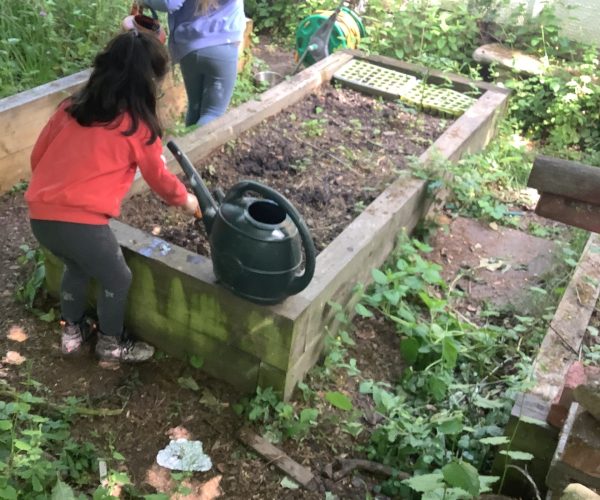 Forest School ‘Cooking’ in Year 1 – Lord Scudamore Academy